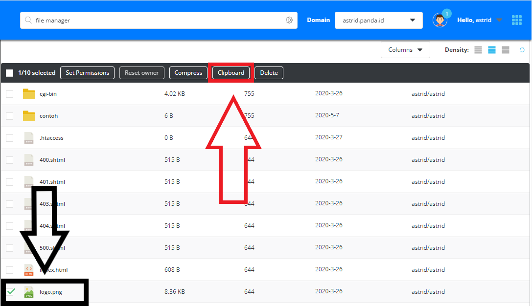 Cara Cut, Copy, Paste di File Manager Hosting DirectAdmin - PuskoMedia Indonesia