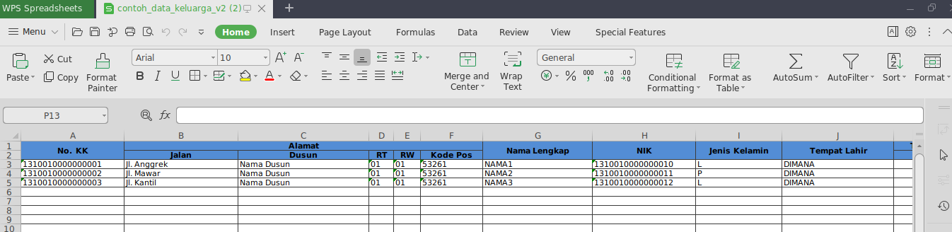 Tutorial Input Data Penduduk sesuai Kebutuhan Panda SID - PuskoMedia ...